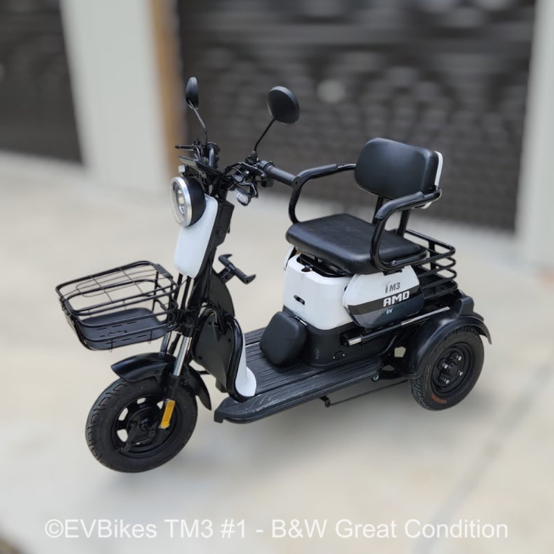 TM3 (Pre-owned/Ex-demo) - Electric Mobility Plus Tricycle | EV Bikes